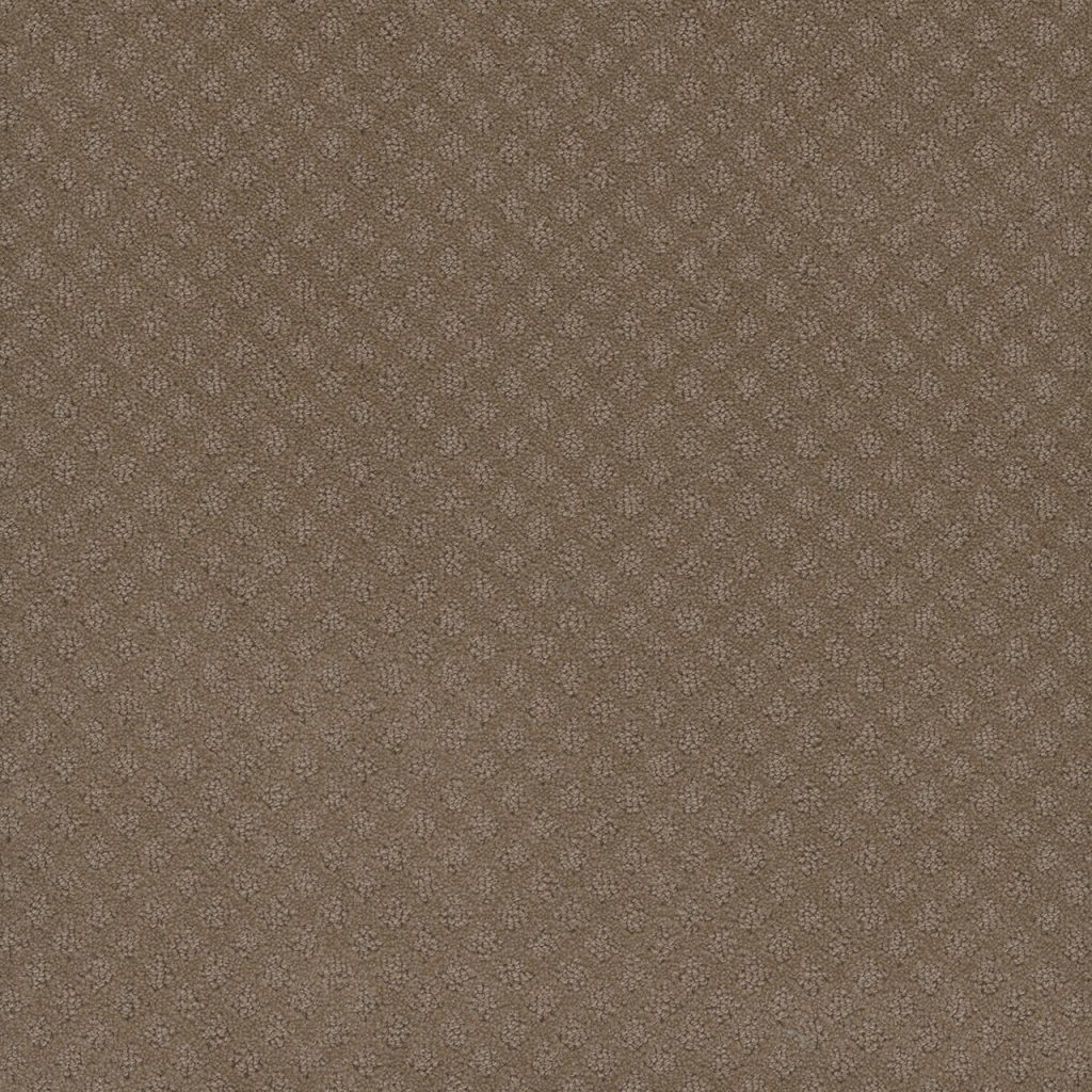 DreamWeaver STELLAR – 6564 Deer Path – Cabinets & Flooring Inc