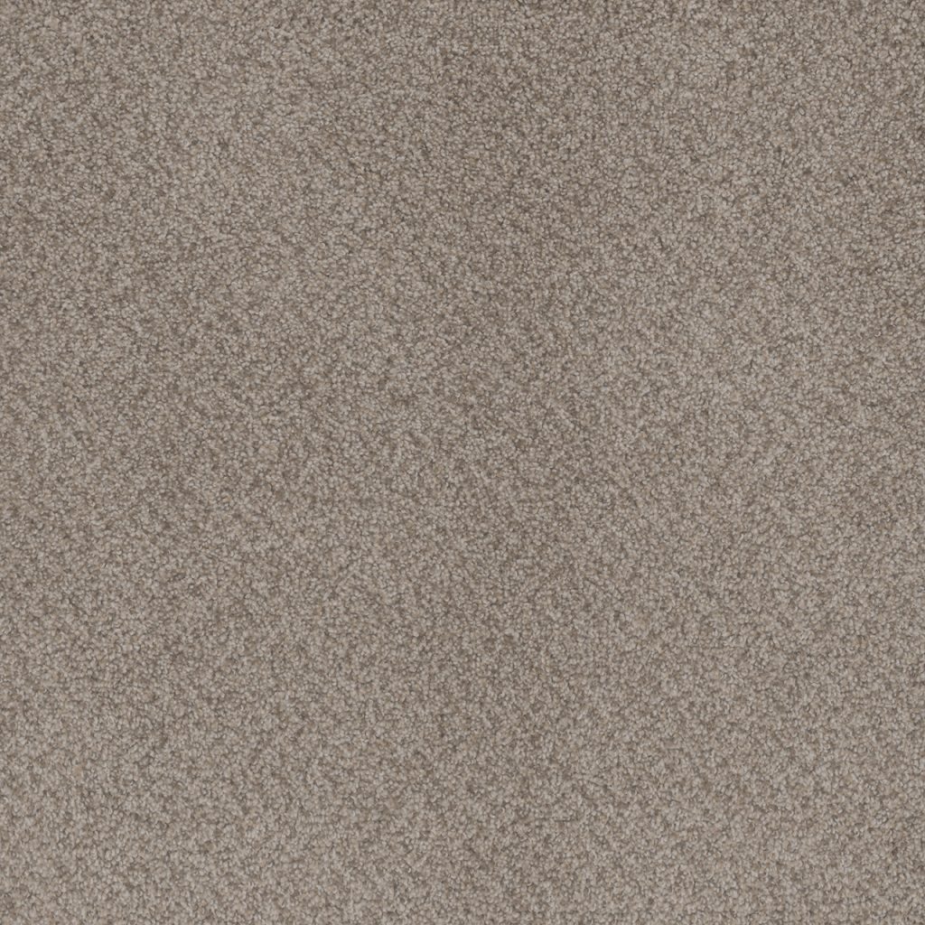 DreamWeaver BEACH CLUB I – 4269 Sahara – Cabinets & Flooring Inc