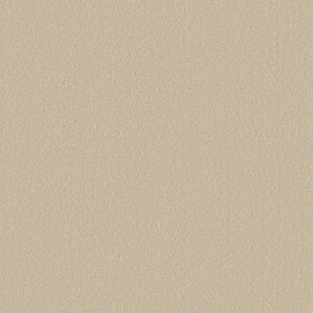 Shaw Floors Retail ULTIMATE EXPRESSION 15′ – 00102 PUDDING – Cabinets ...