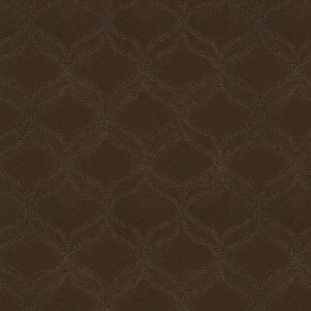 Anderson Tuftex Carpet APPRECIATION – 00707 BISON – Cabinets & Flooring Inc