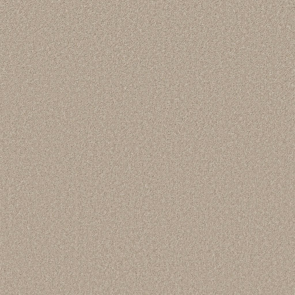 Shaw Floors Retail SOMETHING SWEET – 00113 MARBLE – Cabinets & Flooring Inc